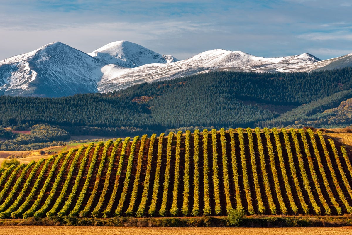 The Ultimate Guide to Spanish Wine & Wine Regions - Beer & Wine Guide